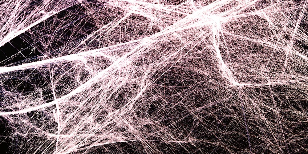 What is Fascia? | Pure Physio