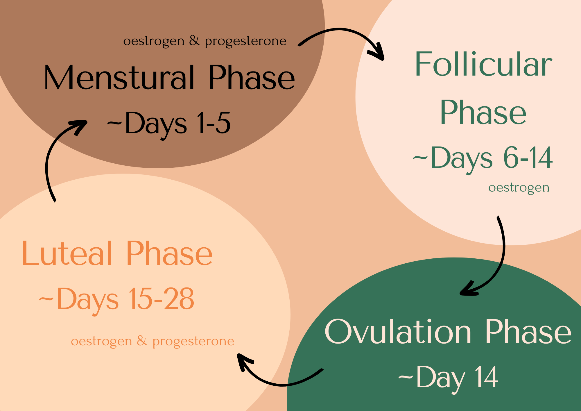 Exercise, Recovery & the Menstrual Cycle | Pure Physio
